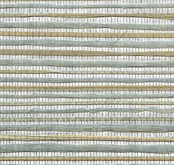 Premier Fabrics - Premium Designs for Everyone